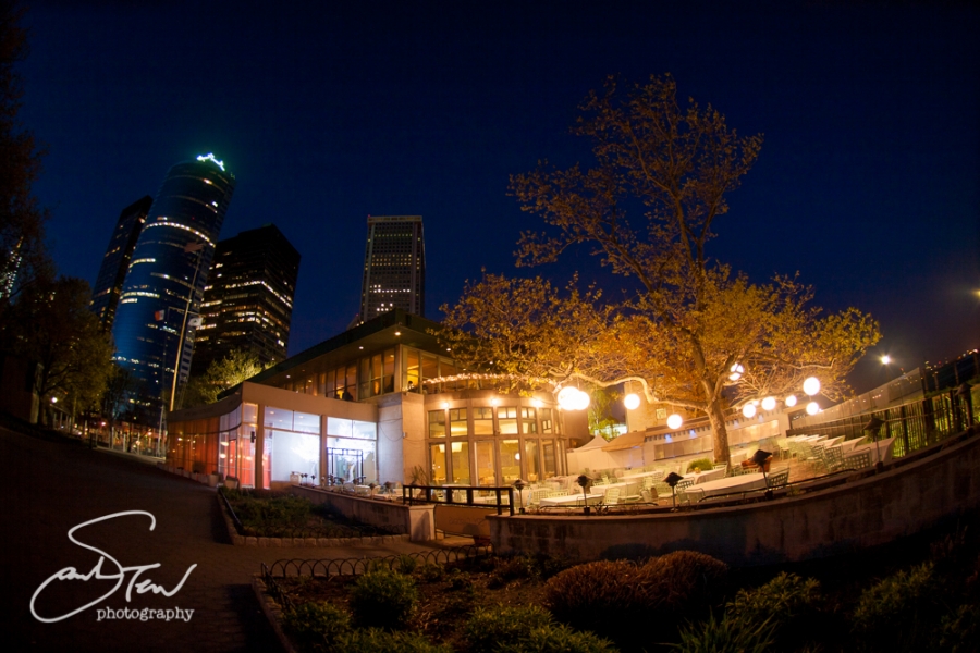 Julie & Ryan's spring wedding: Battery Gardens, New York, NY | sarah ...